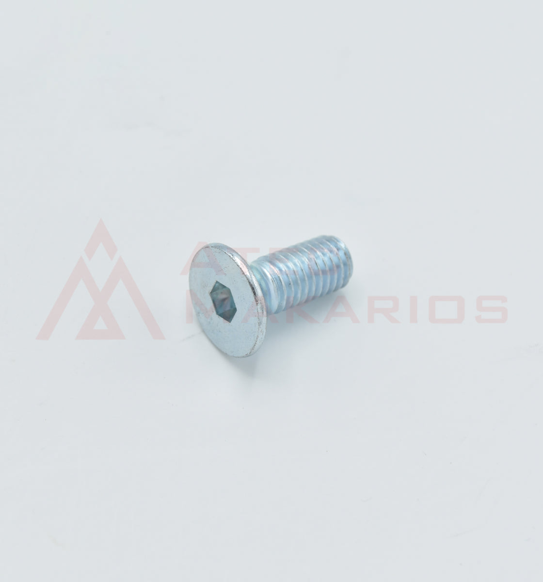0216195748 HEX SOCKET SCREW | Atec Makarios