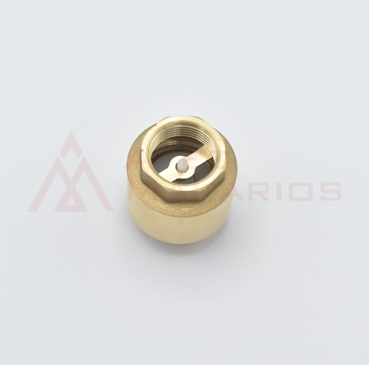 3092613079 ADDITIVE LINE CHECKING VALVE | Atec Makarios